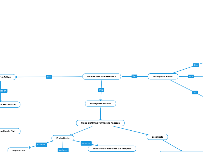 MEMBRANA PLASMATICA - Mind Map